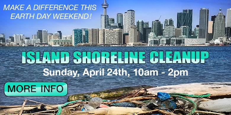 Island Shoreline Cleanup | 102.1 the Edge